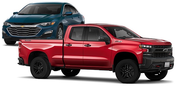 Florida Express Tags: Online vehicle registration renewals and vehicle ...